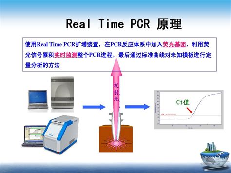 实时荧光定量PCR qPCR 第三方检测机构 中科光析科学技术研究所