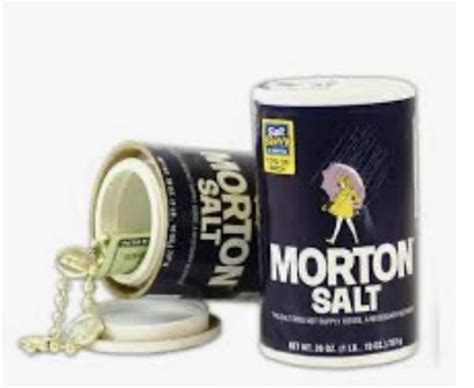 Coin Bank Stash Can Diversion Safe Secret Storage Container Morton Salt