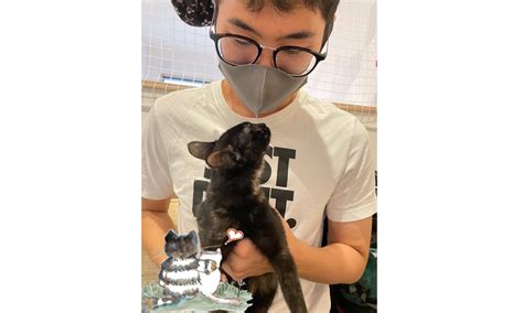 2022年10月 里親様決定 Animal Aid