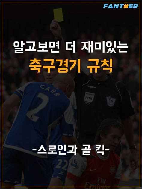법률상식 알고 보면 더 재밌는 축구 규칙 스로인과 골 킥 Fanther Football