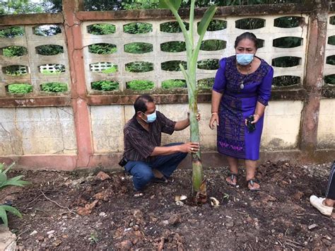 นายอำเภอแม่ลาน เพจที่ว่าการอำเภอแม่ลาน จังหวัดปัตตานี