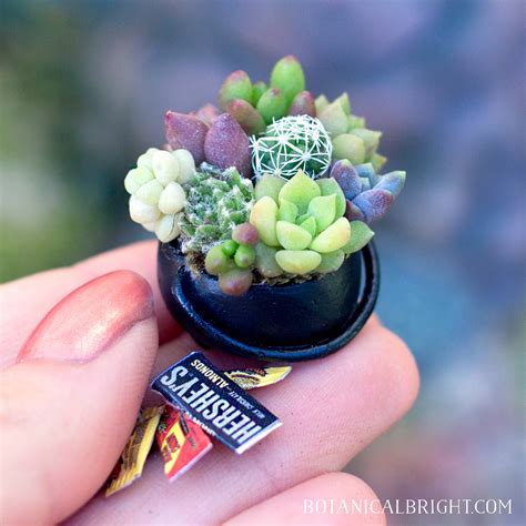 Tiny Plant Gallery Botanical Bright