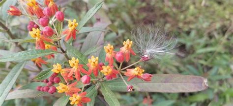 网友问募集不少于一百万个青年见习岗位，将有何影响？ 知乎