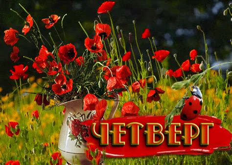 Очаровательная открытка с маками Четверг Скачать бесплатно на
