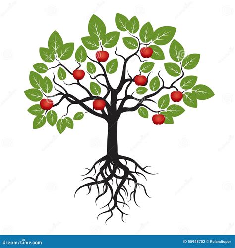 Árbol Con Las Hojas Verdes Las Raíces Y Apple Rojo Stock de ilustración Imagen