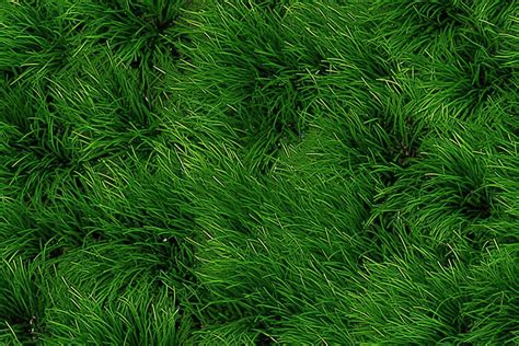 Premium Ai Image Tile Grass Texture Seamless Pattern Repeatable