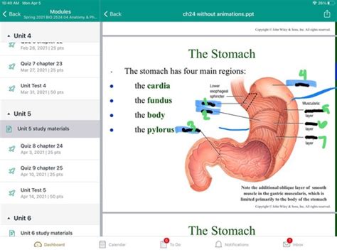 Diagram Flashcards Quizlet