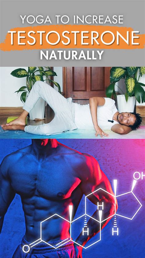 Best Yoga Exercises To Increase Testosterone Levels Naturally Increase Testosterone