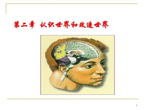 第二章 认识世界改造世界01word文档在线阅读与下载无忧文档