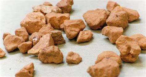 Red Halloysite Chi Shi Zhi Halloysitum Rubrum