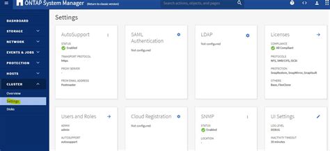 Remote Infrastructure Management NetApp ONTAP Overview