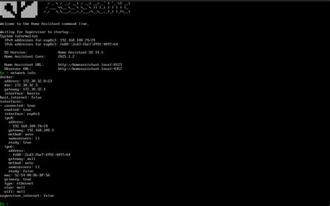 Installing Haos Next Do Docker On Same Host Installation Home