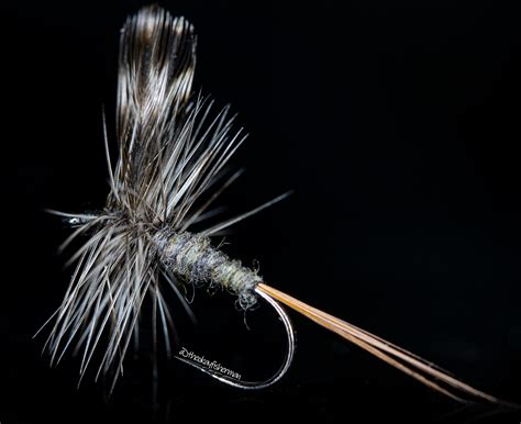 Top 5 Dry Flies The Fly Index