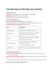 Understanding the Nervous System: Functions, Structure & Neurons ...