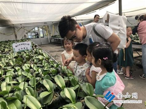 走进蝴蝶兰基地 感受现在农业科技魅力 中国镇江金山网 国家一类新闻网站