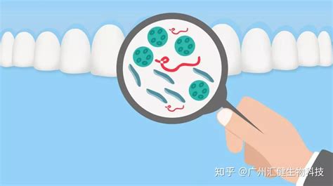 唾液乳杆菌的益生作用机制 知乎