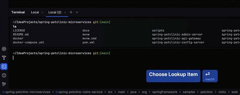 又整新活，新版 intellij idea 2024 1 有点东西！ 知乎