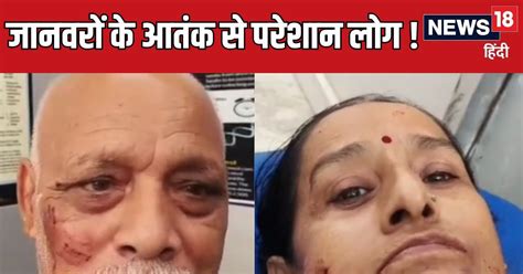 Begusarai News बेगूसराय में बाप बाप कर रहे लोग भेड़िया और तेंदुआ नहीं