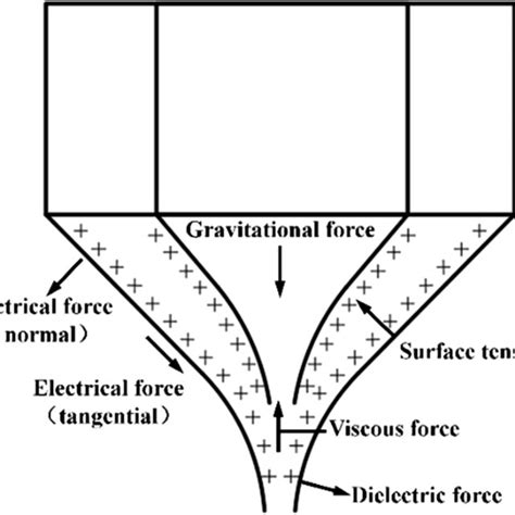 Numerical Simulation Of Coaxial Electrohydrodynamic Jet A Flow Chart