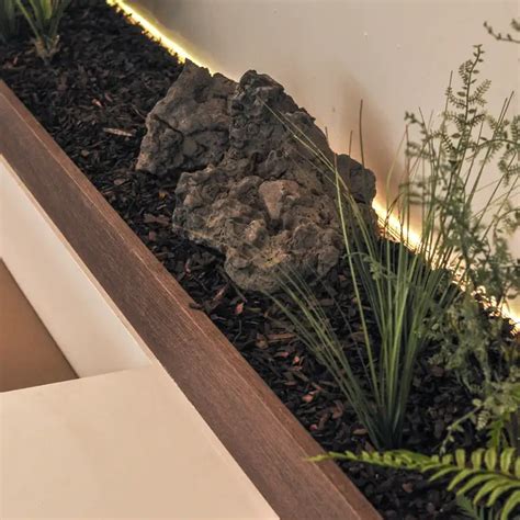 플랜테리어로 포인트를 준 60평 복층카페인테리어 대구 동구 각산동