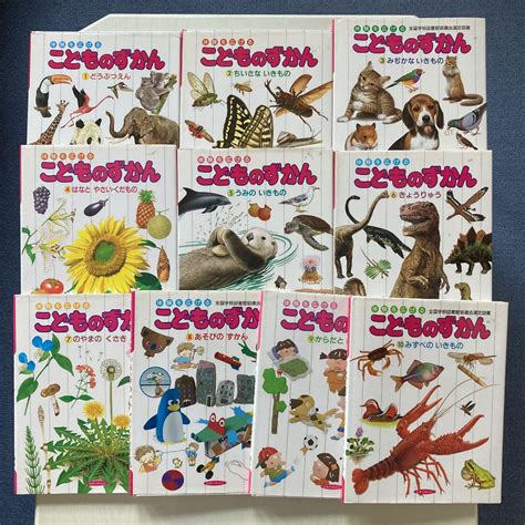 体験を広げるこどものずかん 1 10 全巻セット ひかりのくに メルカリ