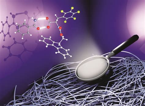The Supramolecular Interaction IMAGE EurekAlert Science News Releases