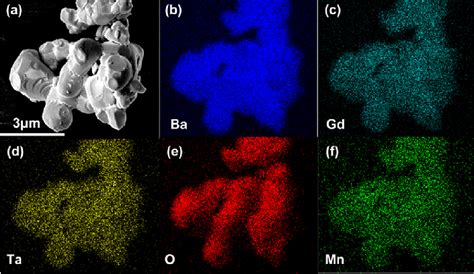 A Typical SEM Image Of BGT 0 6 Mn 4 Phosphors B F Elemental