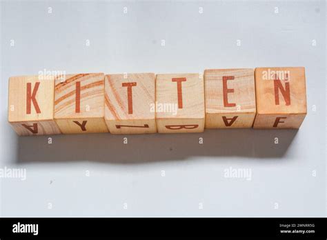 Photo Of Wooden Blocks That Make Up The Vocabulary Kitten In English