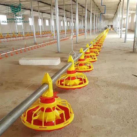 Hightop Poultry Livestock Farm Equipment Automatic Pan Feeding System