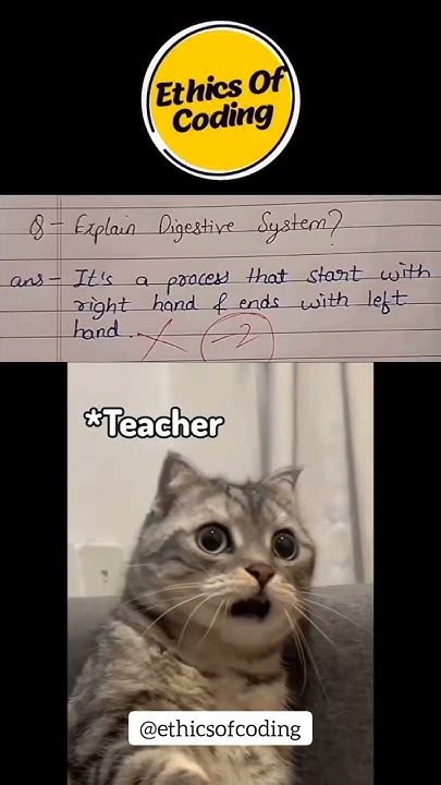 Correct Tho🙃 Coding Developer Programming Funny Youtubeshorts