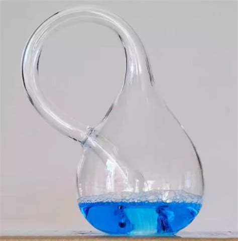 Bouteille De Klein Grande Science And Nature Le Dindon