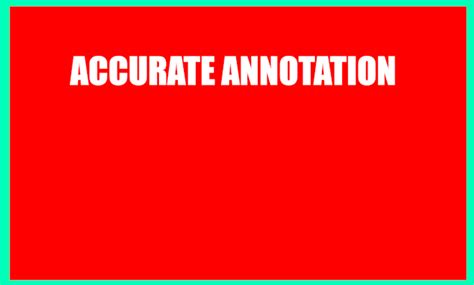do precise bounding box image annotation and data labeling and