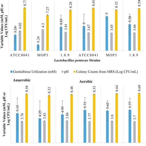 Utilization Of Gentiobiose By Single Strains Of Lactobacillus Pentosus