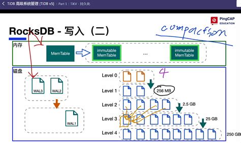 rocksdb存储 level 1 单个sst 256mb，是固定值吗？还是由计算得来的？ tidb 的问答社区