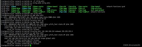 云计算：openstack 分布式架构管理vxlan网络（单控制节点与多计算节点） openstack vxlan csdn博客