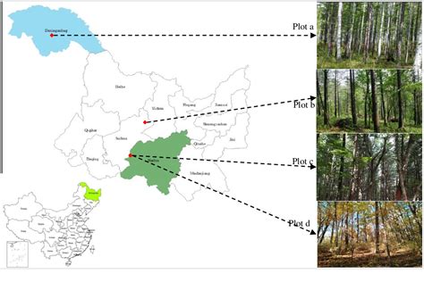 Figure 1 From Optimizing Forest Spatial Structure With Neighborhood Based Indices Four Case