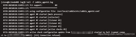 Zabbix常见启动错误active Check Configuration Update From Xxxstarte Csdn博客