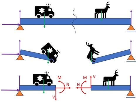 Internal Forces In Beams Solveredu