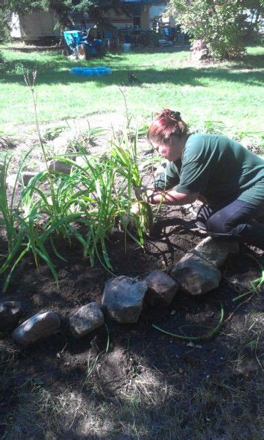 How To Build Your Own Rock Garden Rock Garden Garden Plants