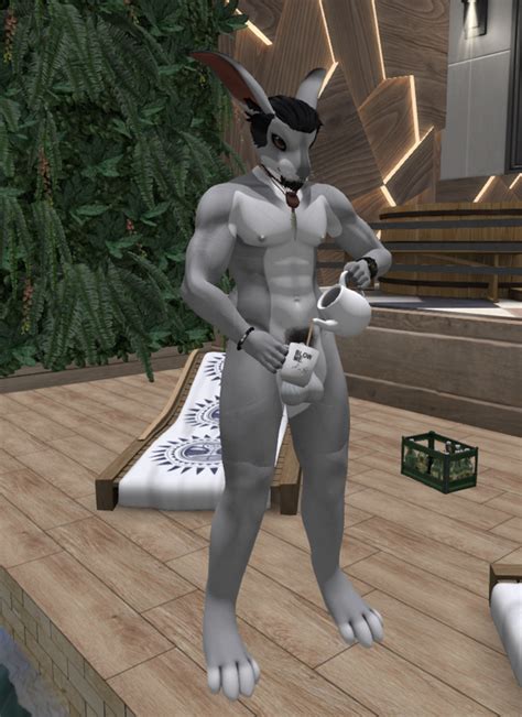 Snapshot Postimages