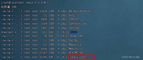 Redis在linux上安装教程，超级详细redis Linunx Csdn博客