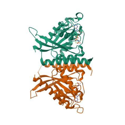 Rcsb Pdb 7opp Crystal Structure Of The Rab27a Fusion With Slp2a