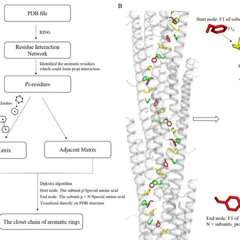 The Potential Electrically Conductive Pathways For Each Of Four Pili
