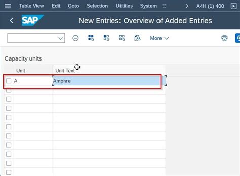 How To Define Capacity Unit In SAP