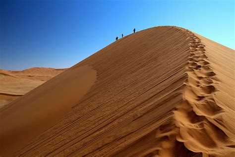 Hd Wallpaper Landscape Photography Of Desert With Leafless Trees
