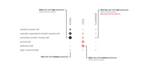 Documentation Cz Cellxgene