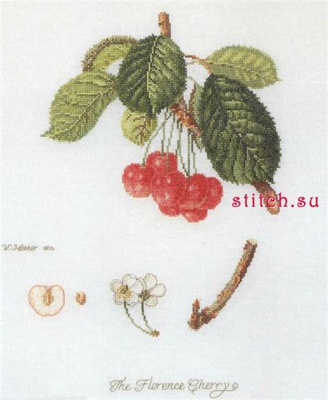 Наборы для вышивания Thea Gouverneur (страница 3)