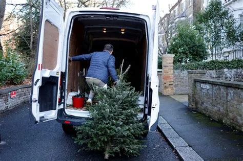 When To Take Your Christmas Tree Down Controversial Mum Sparks Debate