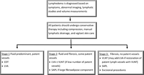 Lymphedema Management Summary Stage Refers To The Isl Lymphedema Download Scientific Diagram