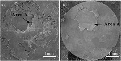 Sem Image Of Fracture Of Large Sized Ag Paste Sintered Joint